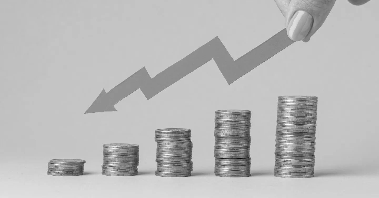 Pluro | Reducing App and Integration Costs for Shopify Brands